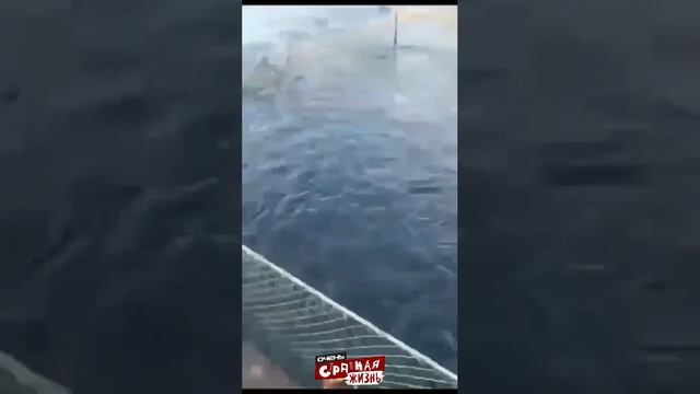 Особенности национальной Рыбалки небожителей на Сахалине