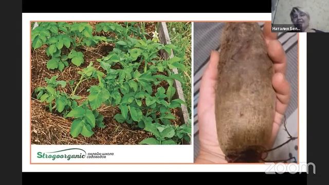 Наталья Билютина / отзывы об онлайн-школе садоводов Strogoorganic