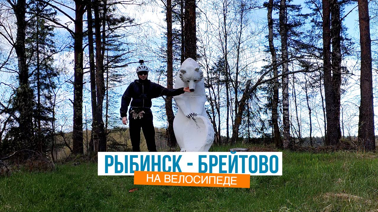 ИЗ РЫБИНСКА В БРЕЙТОВО НА ВЕЛОСИПЕДЕ 🚴| #ДневникНаКолесах - 1