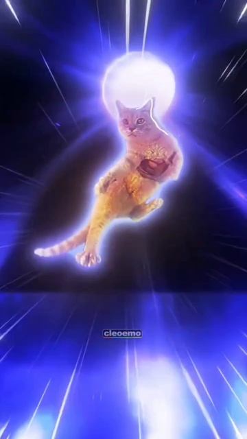 ночное путешествие к миске