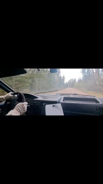 Ралли Пикник