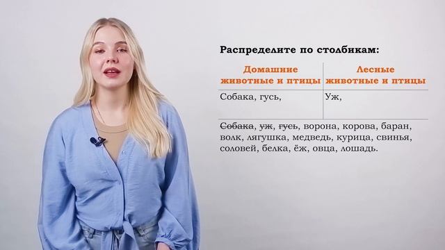 Тема 11. Животные и птицы