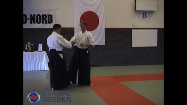 14 Aikido Shomen Uchi Ikkyo Omote Shishiya Sensei, Sundsvall 2002