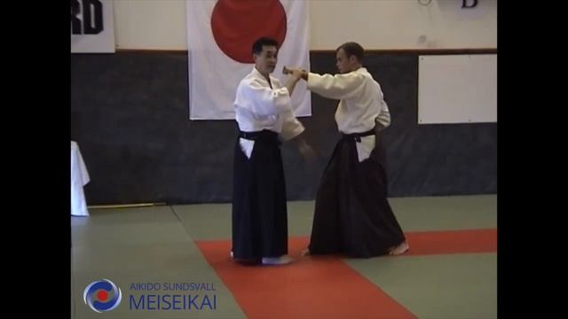 11 Aikido Shomen Uchi Ikkyo Ura Shishiya Sensei, Sundsvall 2002