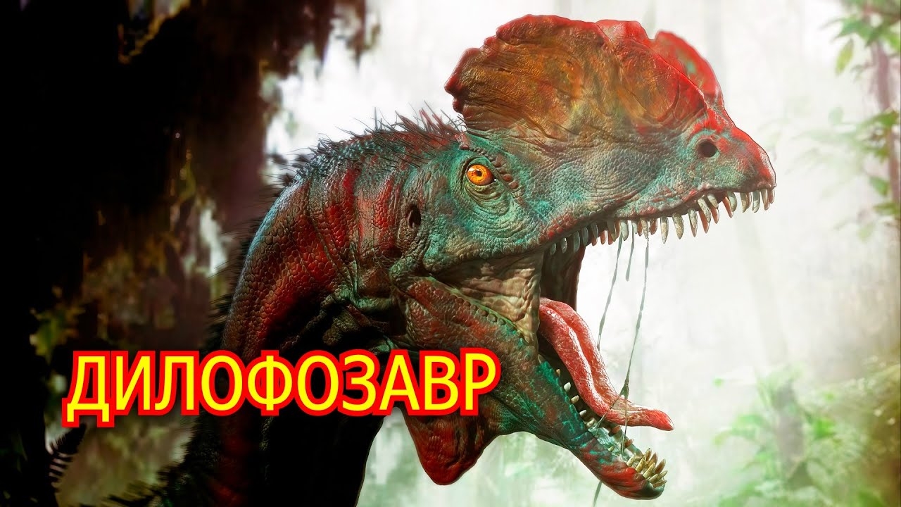 Дилофозавр. Большой и шустрый ящер с двойным гребнем. Видео о динозавре