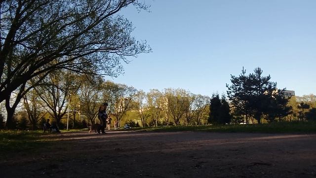 Вик, тренировка -2, 19.05.25