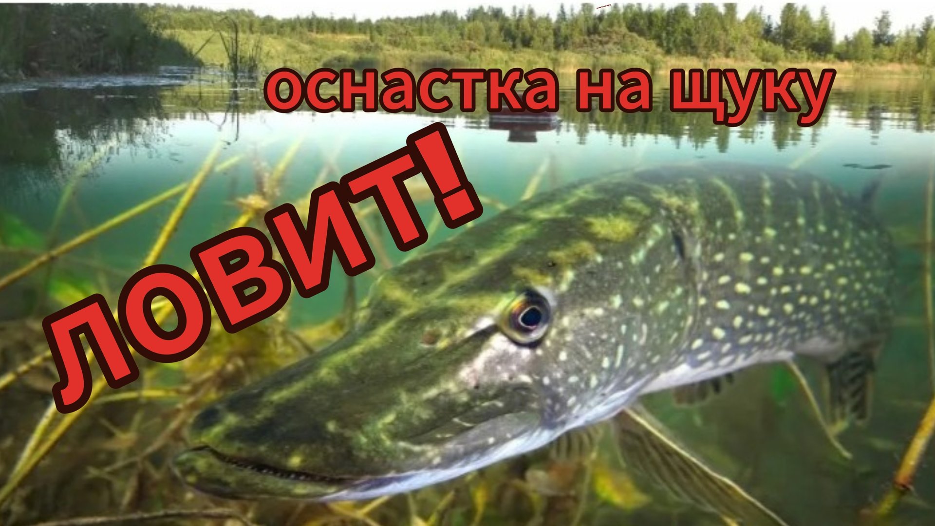 Снасть на хищную рыбу которая ловит.