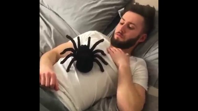 "Лучшие приколы: Смешные видео для хорошего настроения"