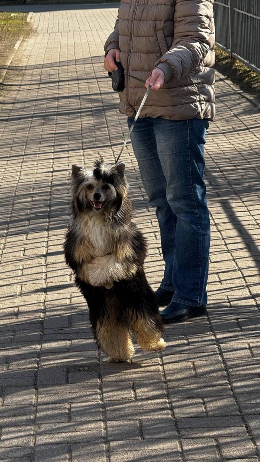 Феликс упорно работает