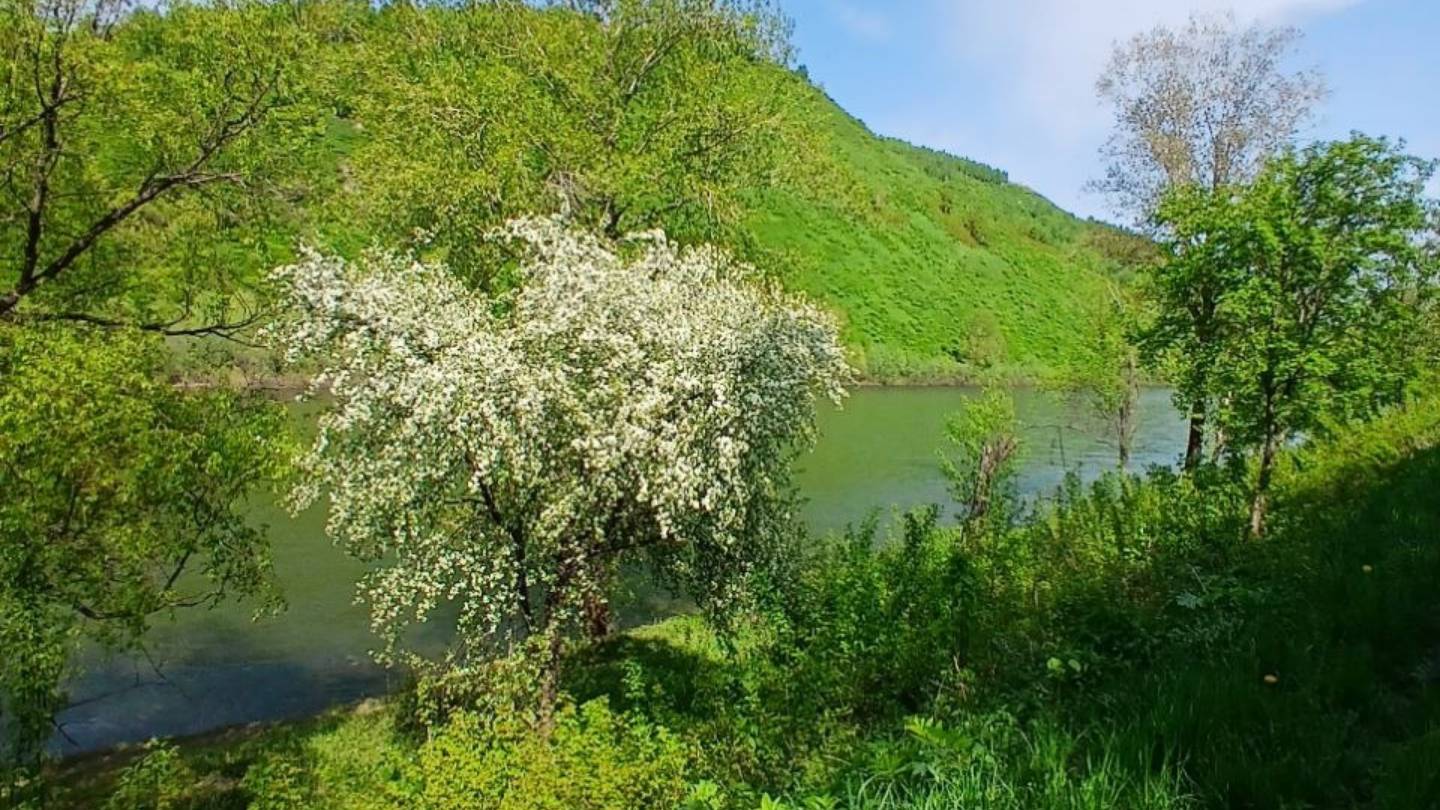В чём преимущество Р2Р обменника у.е. перед матричными проектами.