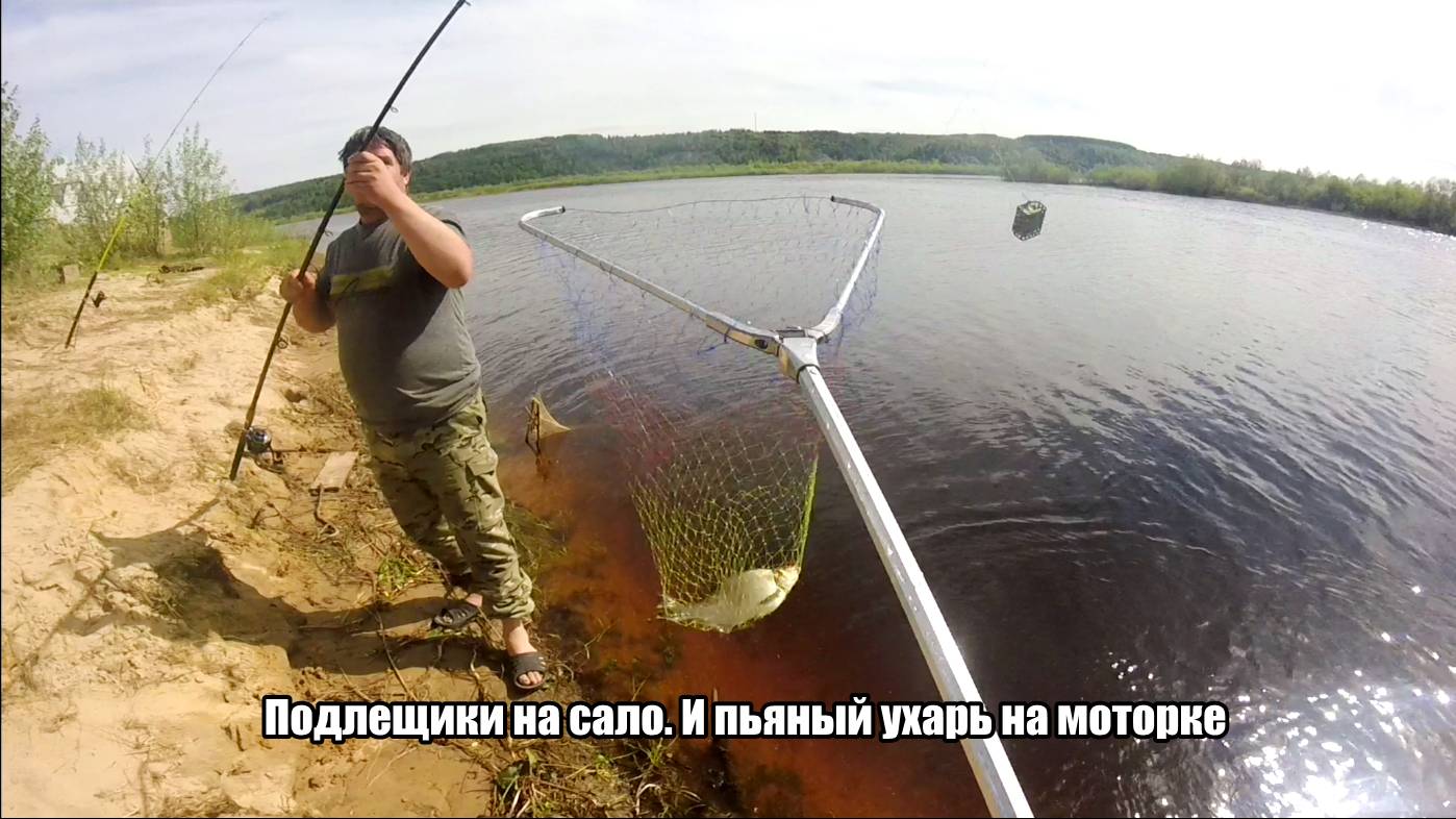 Подлещики на сало