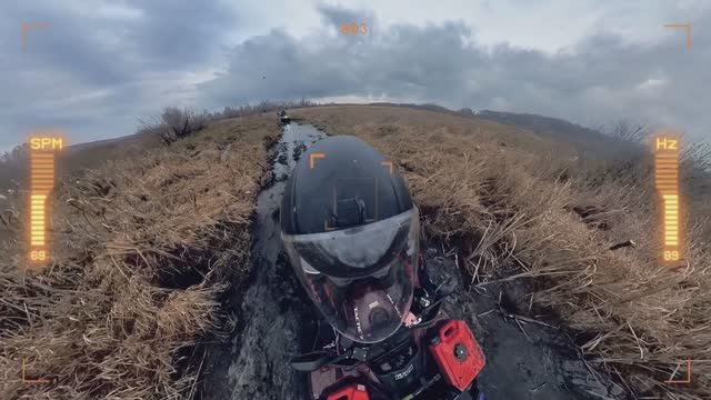 Бобровые войны