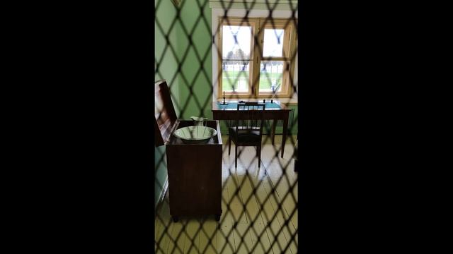 Царское село 2024 10 25