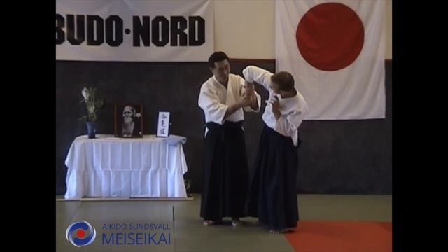 9 Aikido Shomen Uchi Uchikaiten Sankyo Shishiya Sensei, Sundsvall 2002