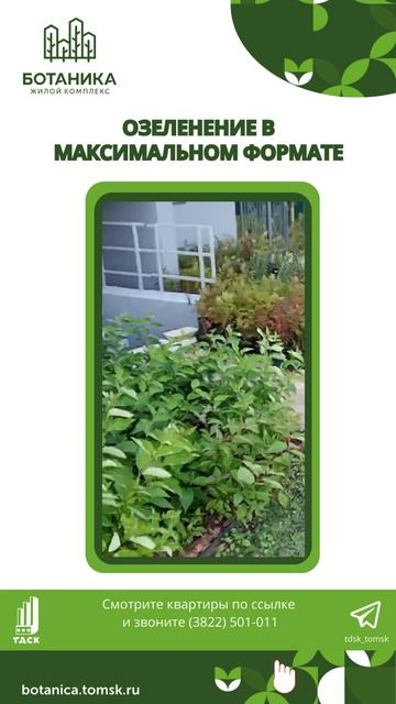 Озеленение в ЖК Ботаника в Томске