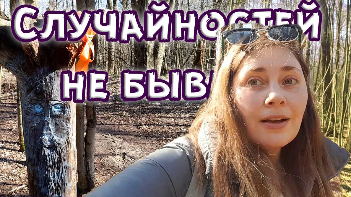 Влог: Немного пугающая встреча в лесу... Задолбалась ! Классный наборчик Стирка и чипсы