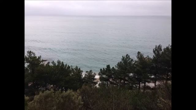 Икарос к щедрому вечеру 13 01 2018