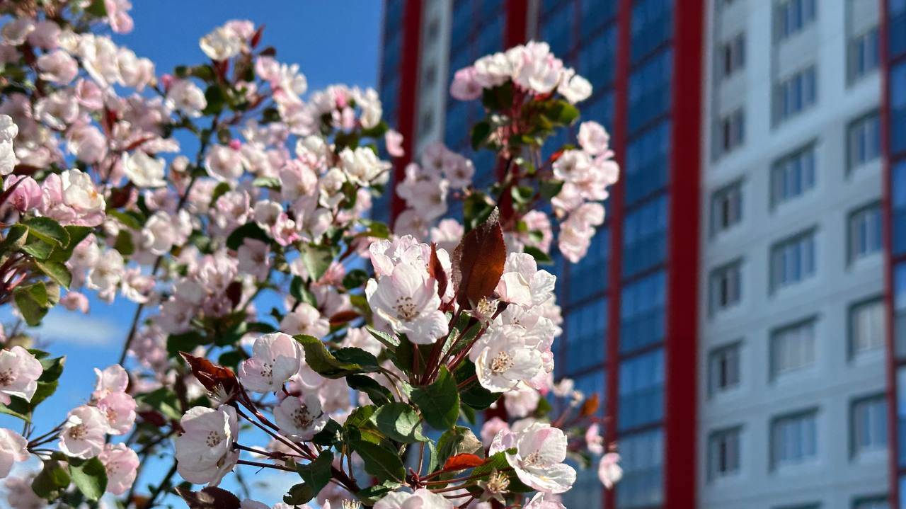 ЖК  «Калина Красная»  в 20 мин от Новосибирска: дом сдан!