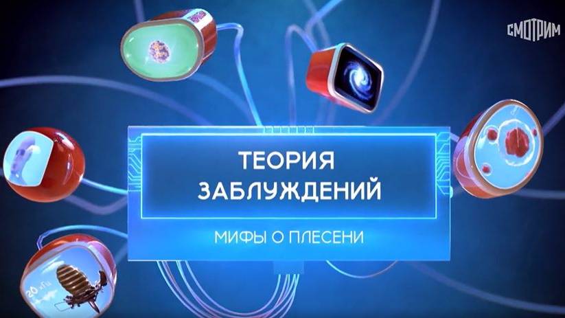 Мифы о плесени