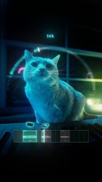 коты музыканты устраивают божественную вечеринку