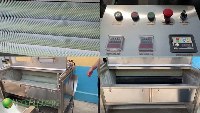 Машина Vega H800 мойка овощей и очистка корнеплодов