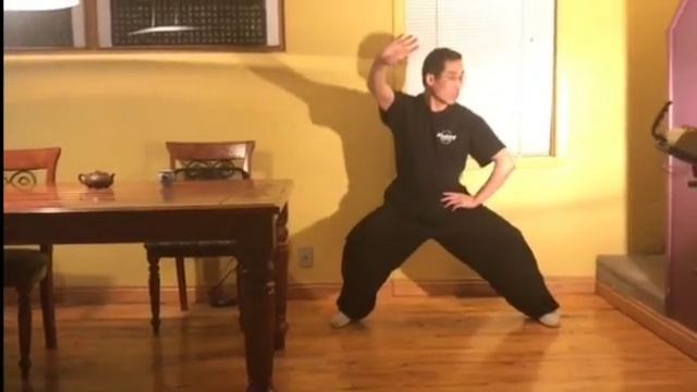 Хай Ян Уроки Синъи (проект «Возвращение китайской практики») на русском языке-2