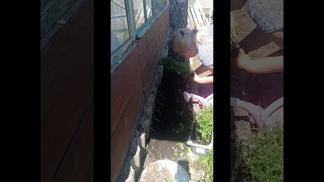 7 мая и 18 мая, давно не снимала