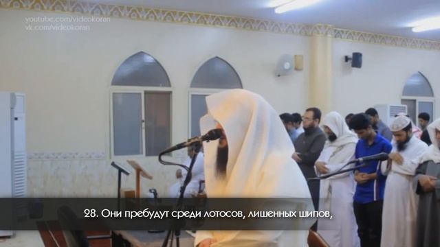 Юсуф ас-Сакир (يوسف الصقير) | Сура 56: «аль-Ваки'а» (سورة الواقعة)