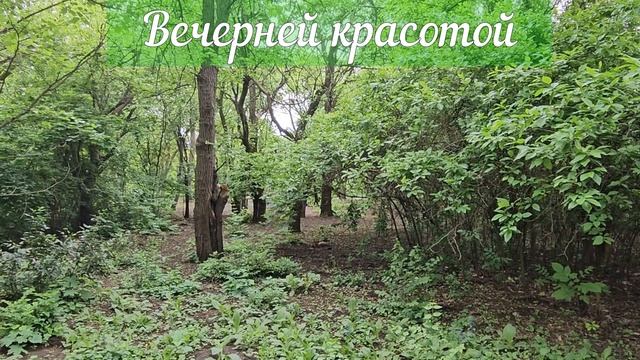 Добрый вечер! 👍👍👍