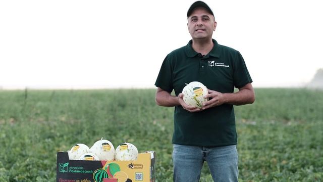 Дыня Далматин - сочный хит лета!