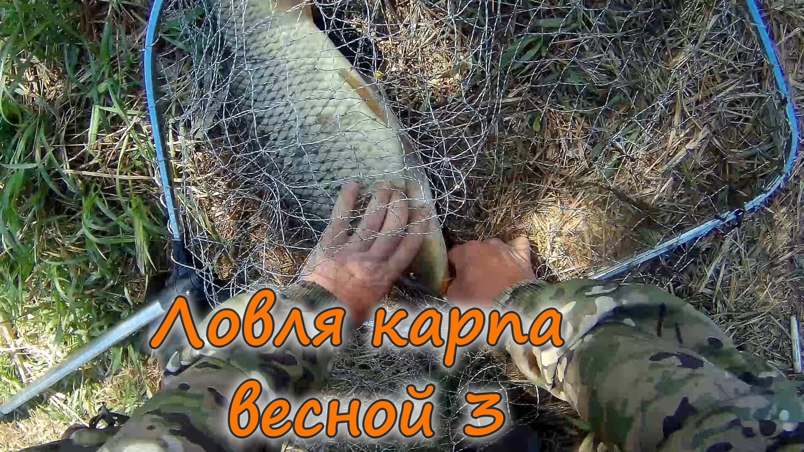 Ловля карпа весной 3 2025