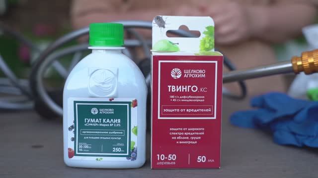 Вредители в саду? Есть решение: высокоэффективный инсектицид Твинго, КС + Гумат для снятия стресса