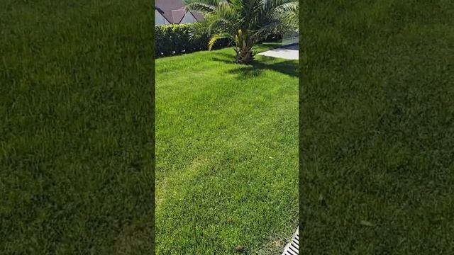 Хайтек в Сочи с изысканным ремонтом!