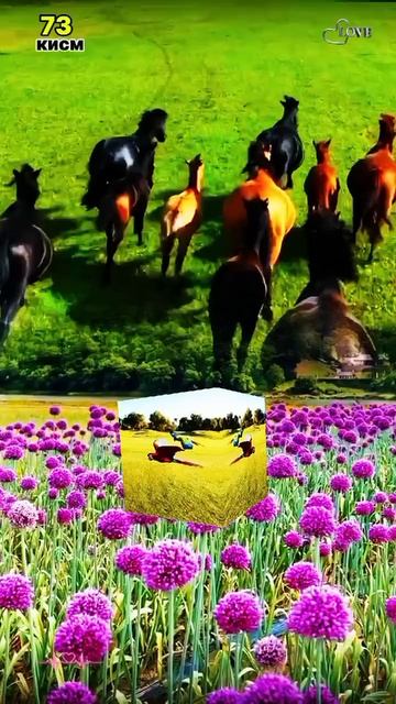 Оллохим узинга шкур ☝️ 🕋 🤲