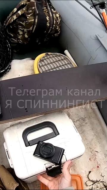 змееголов на спиннинг