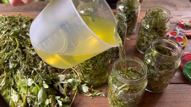 Масло чистотела рецепт