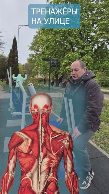 Уличные тренажёры. Максимальная польза без травм? #уличныетренажёры #спорт #остеохондроз