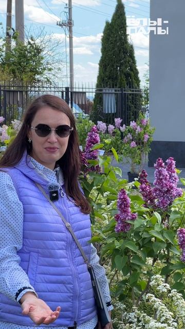 На сколько разная сирень!