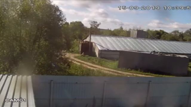 в/з №31 -15.09.19-воскресенье -гул станка продолжается весь день