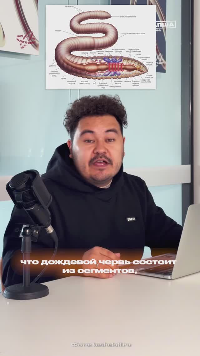 ИЗ ОДНОГО ЧЕРВЯ МОЖНО СДЕЛАТЬ ДВА?|Разбор теории #мифыиздетства