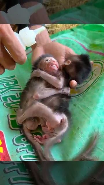 Аттракцион щедрости.