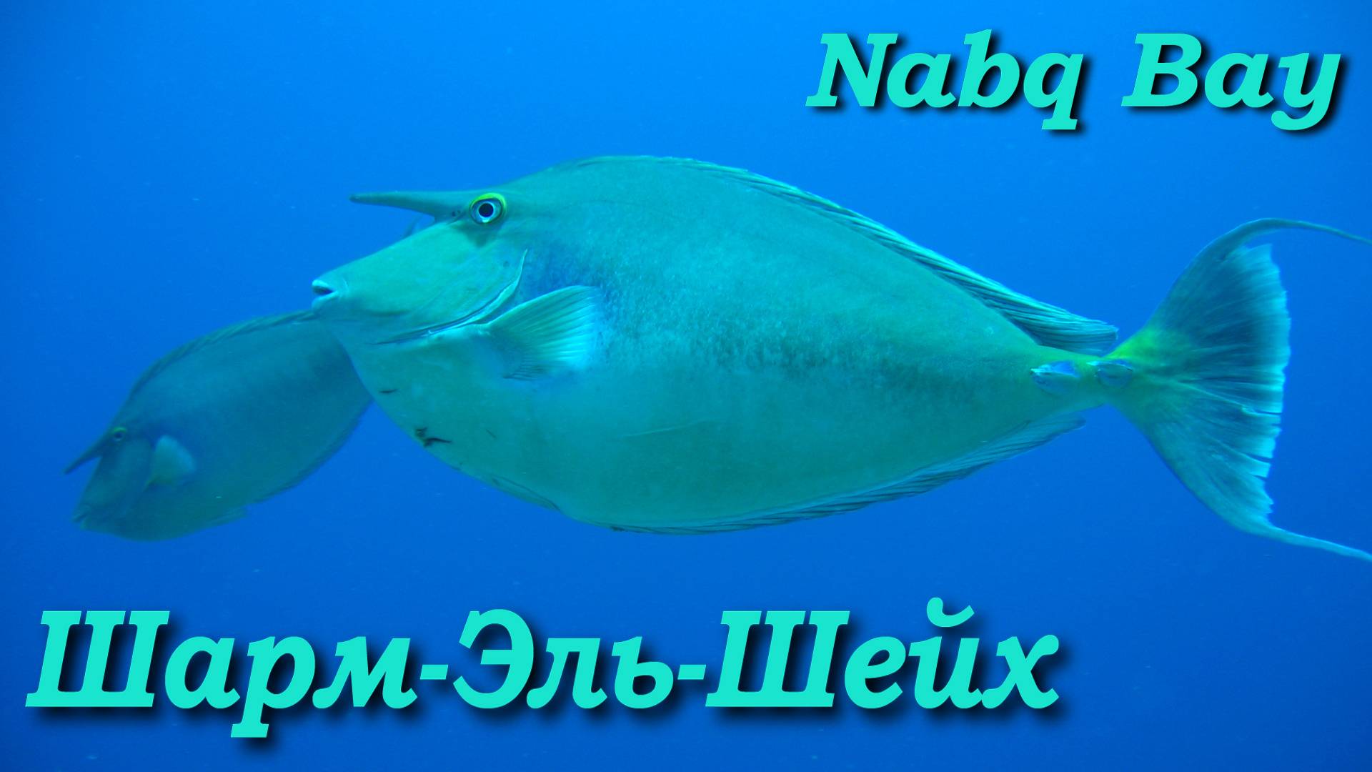 Солнечный круг. Шарм-Эль-Шейх. Побережье Набк.