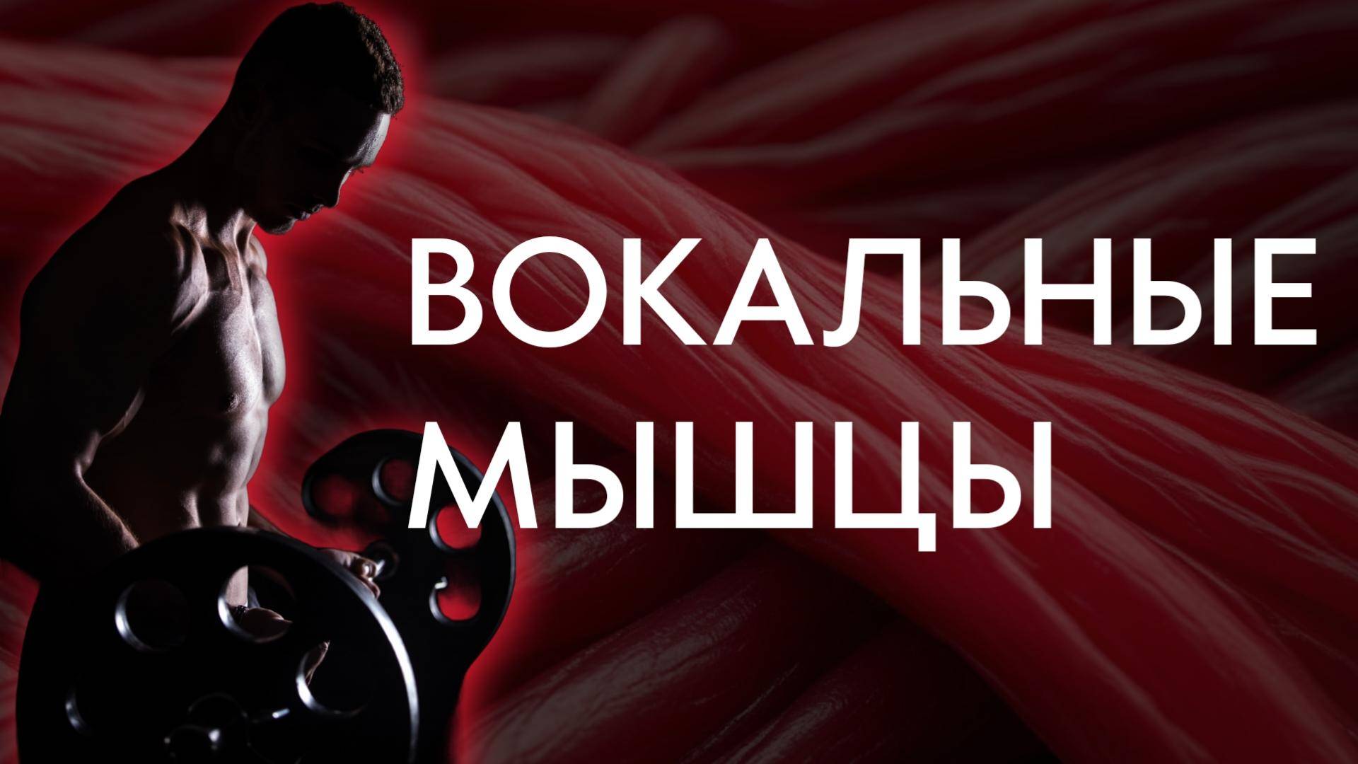 11. Вокальные мышцы