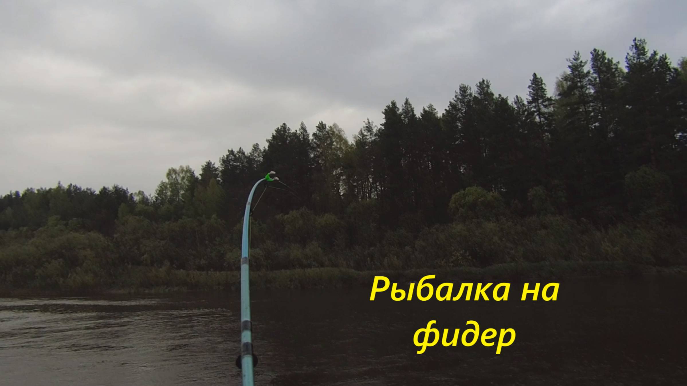 ПОЙМАЛ ЛЕЩА на ФИДЕР! РЫБАЛКА НА ФИДЕР ВЕСНОЙ! РЫБАЛКА на ЛЕЩА в МАЕ. ЛОВЛЯ ЛЕЩА на РЕКЕ