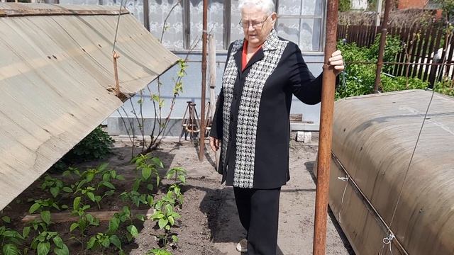 ОГОРОД ПЕНСИОНЕРОВ