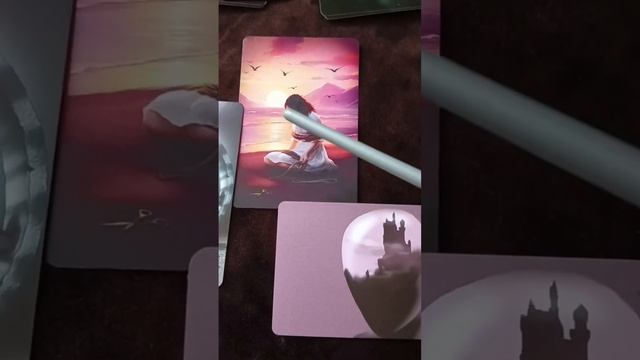 Где найти выход из сложившейся ситуации - Разбор МАК