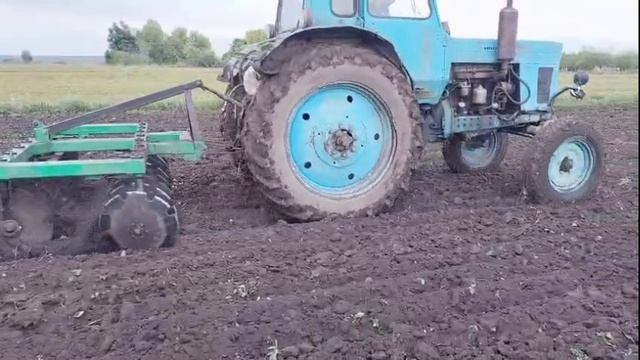 Борона дисковая БДМ 2.4х2 Навесная 16 дисков  в работе с трактором МТЗ 82