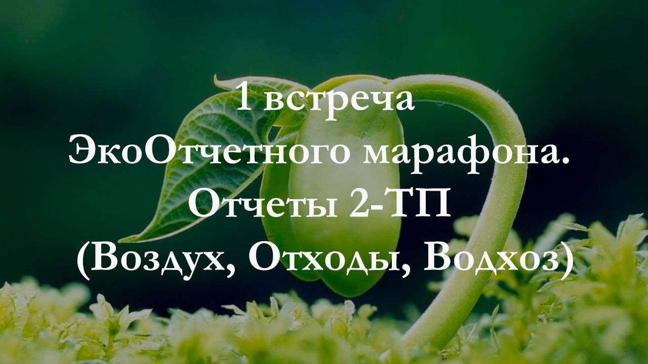 1 встреча ЭкоОтчетного марафона Отчеты 2-ТП (Воздух, Отходы, Водхоз)