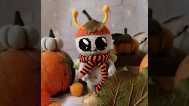 Обзор МК "Букаш-тыквоед"