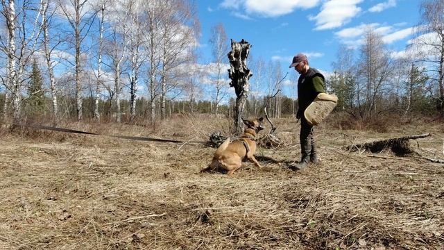 Послушание в защите